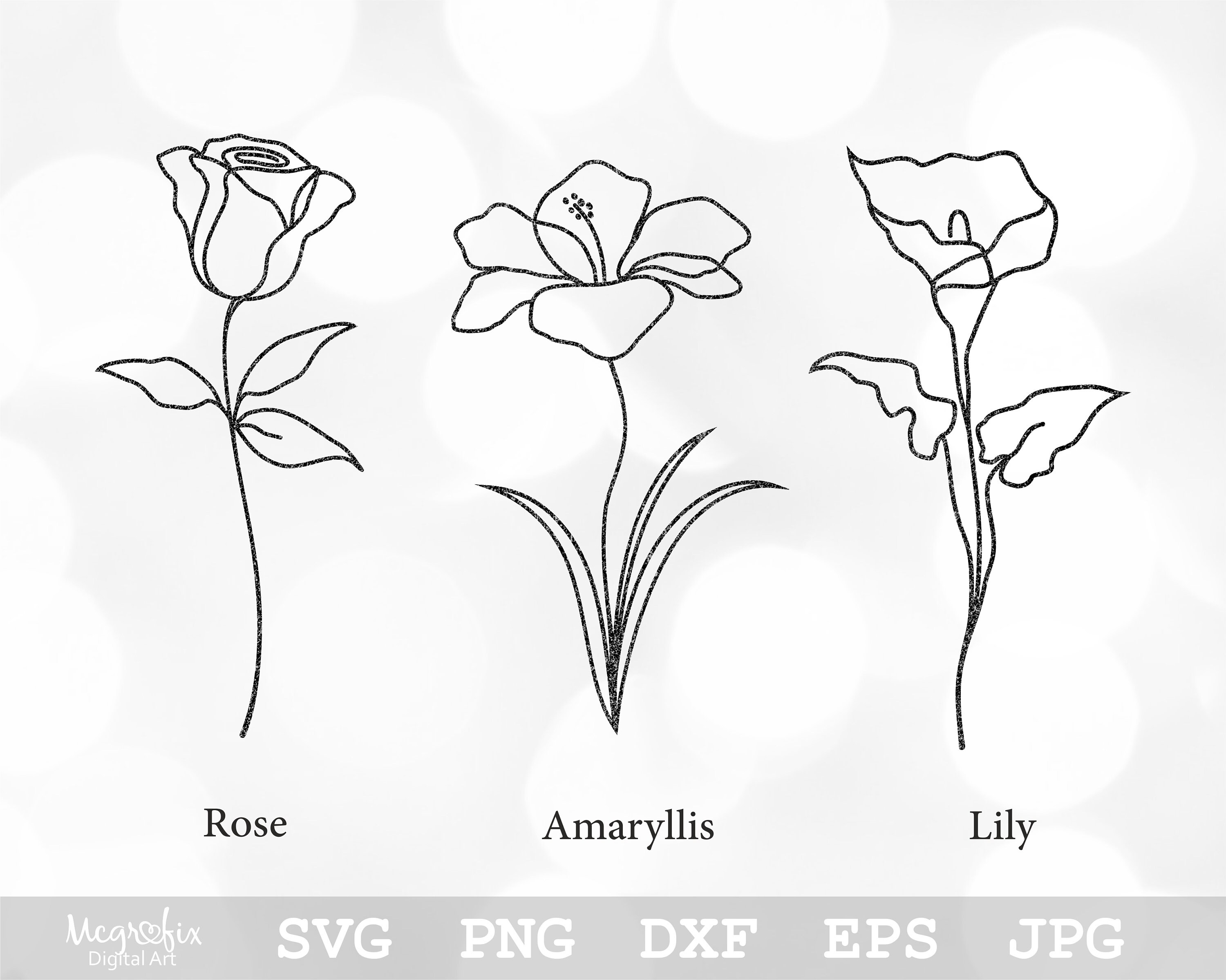 Flower Line Art SVG Rose Svg Lily Svg Floral Bundle Svg - Etsy Canada