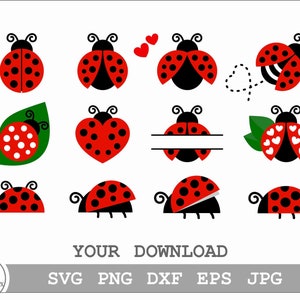 Ladybug Bundle SVG Ladybug SVG Ladybug SVG Layered | Etsy