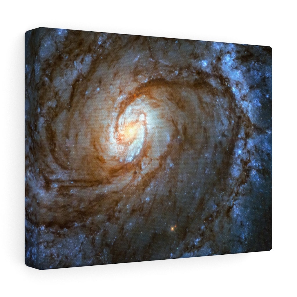 Craft Supplies & Tools Space Decor Astronomy Gifts for Science Lovers ...