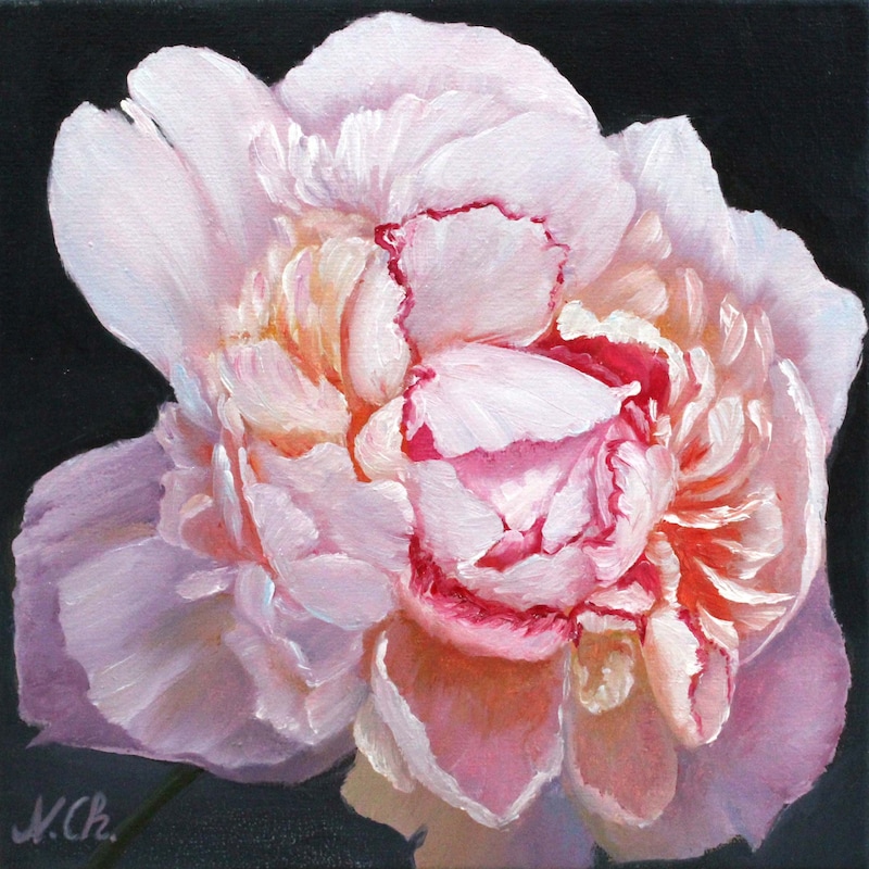 Peony Wall Art - Etsy