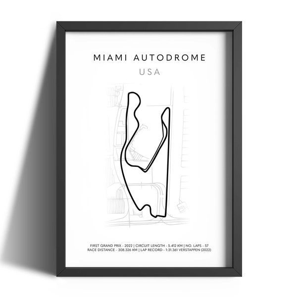 Miami F1 Poster - Etsy