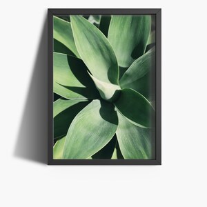 Green Botanical Prints Botanical Leaf Print Green Prints - Etsy