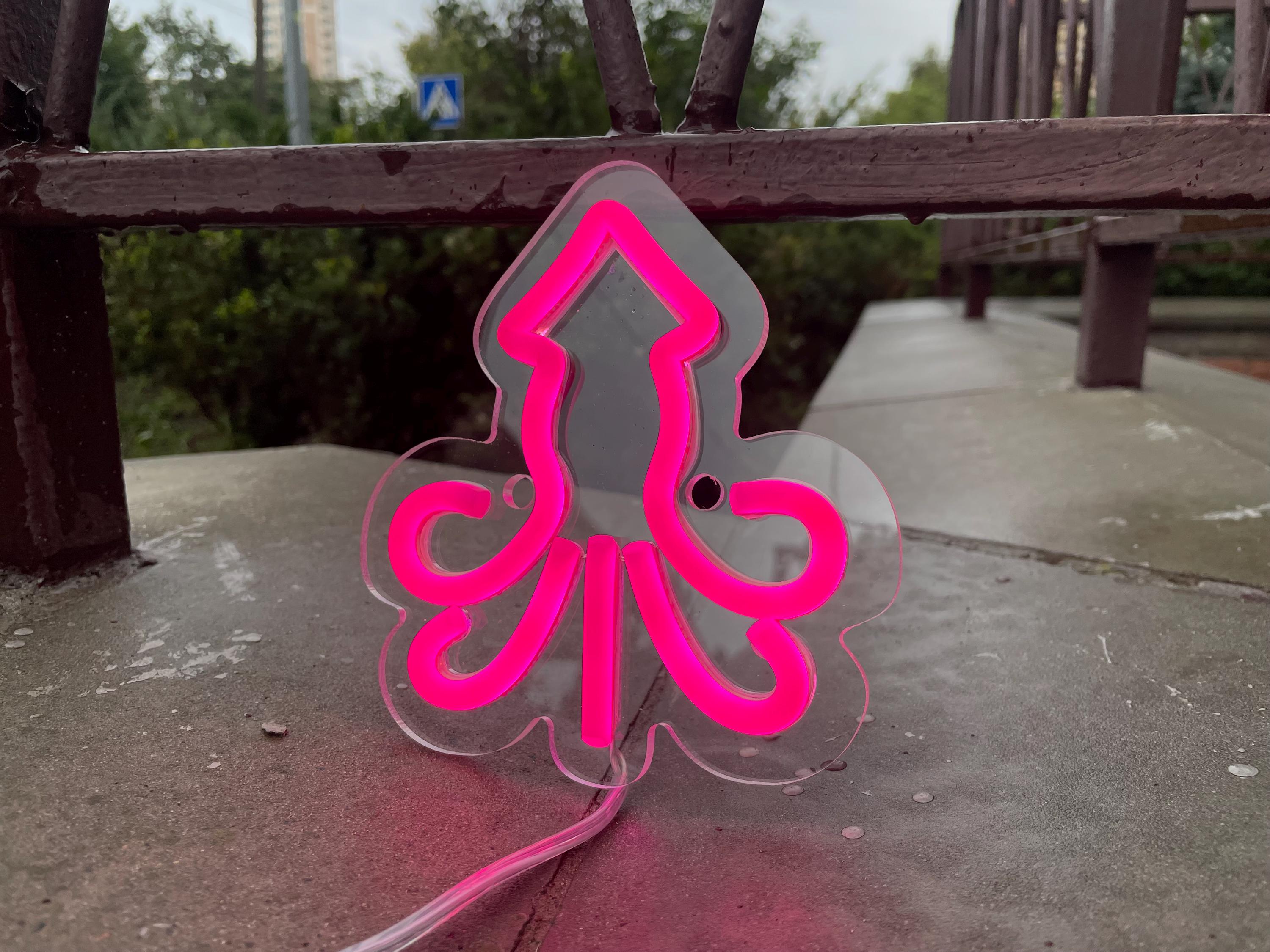 Mini Cute Custom Neon Sign, Bright Playful Personalized LED Light ...