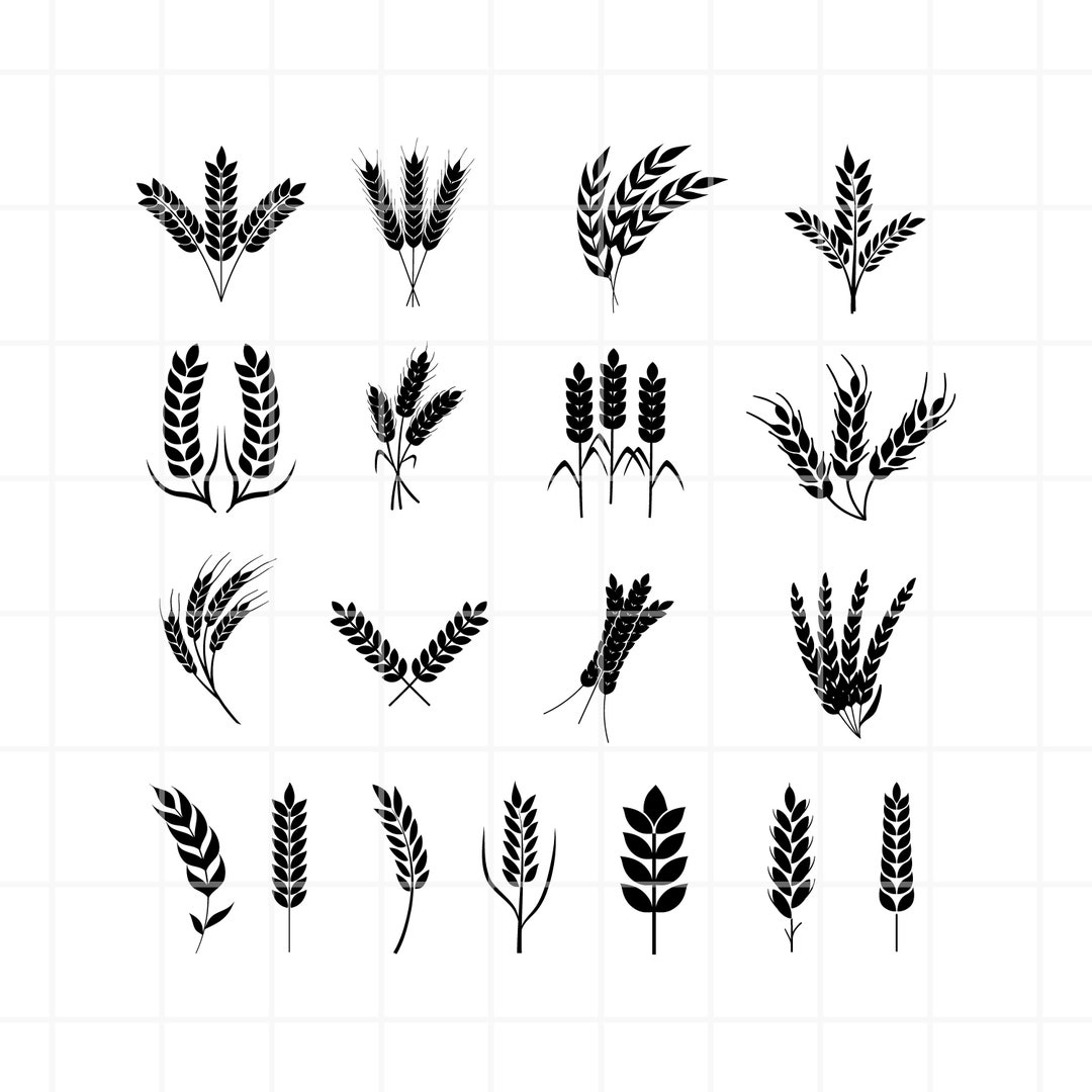 Wheat SVG. Wheat Png. Wheat Cut File. Wheat Clipart. Wheat Cricut ...