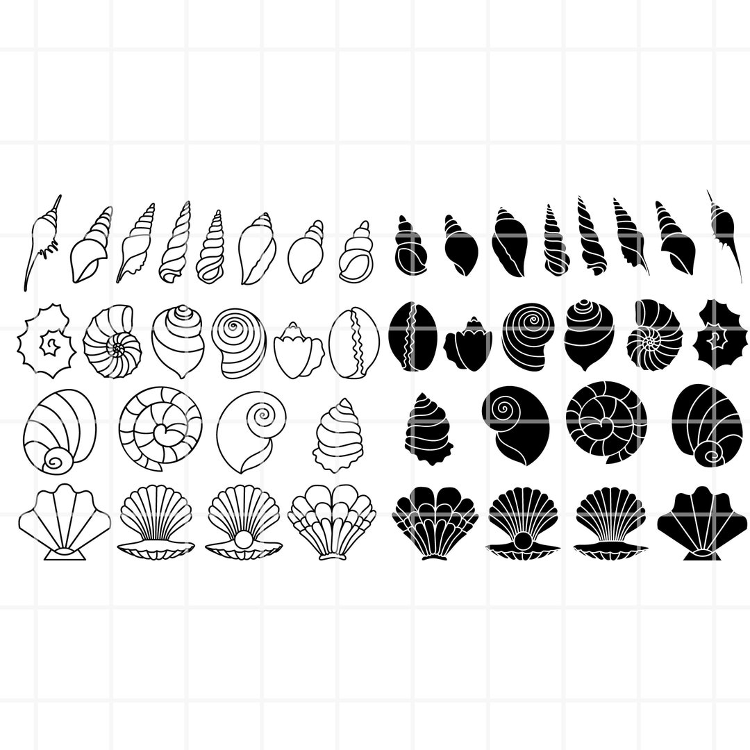 Seashell Svg. Seashell Png. Seashell Cut File. Seashell Cutting Set ...