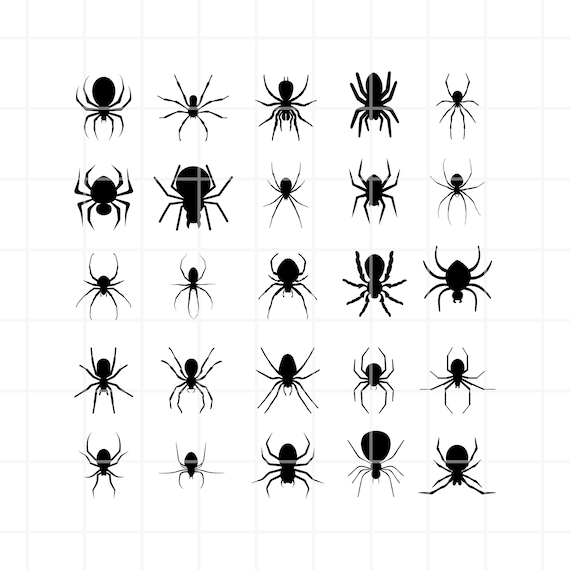 Spider Svg. Spider Cut File. Spider Clipart. Spider Cutting - Etsy ...