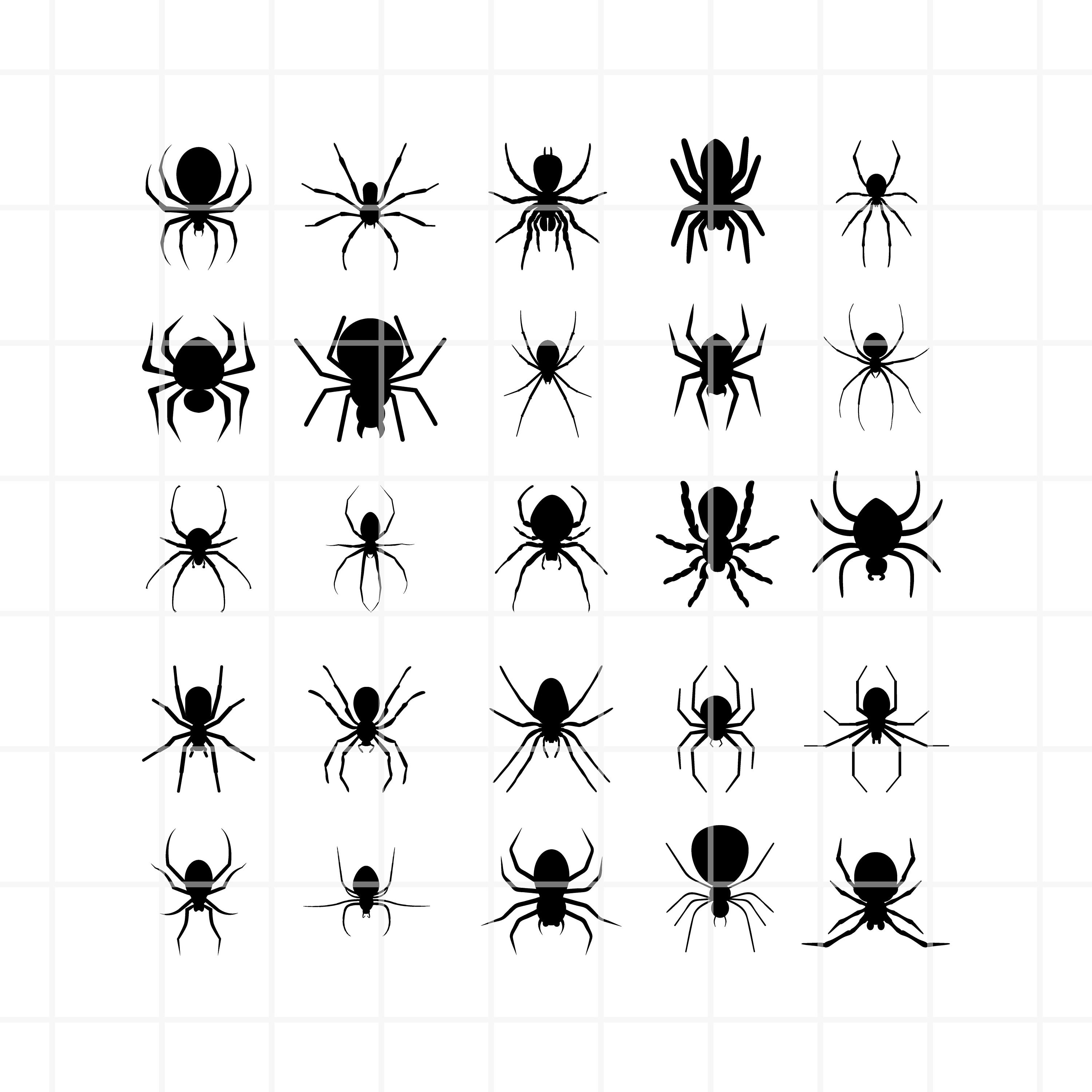 Spider SVG Cut Files, Clipart Set (digital Download) - Etsy Australia