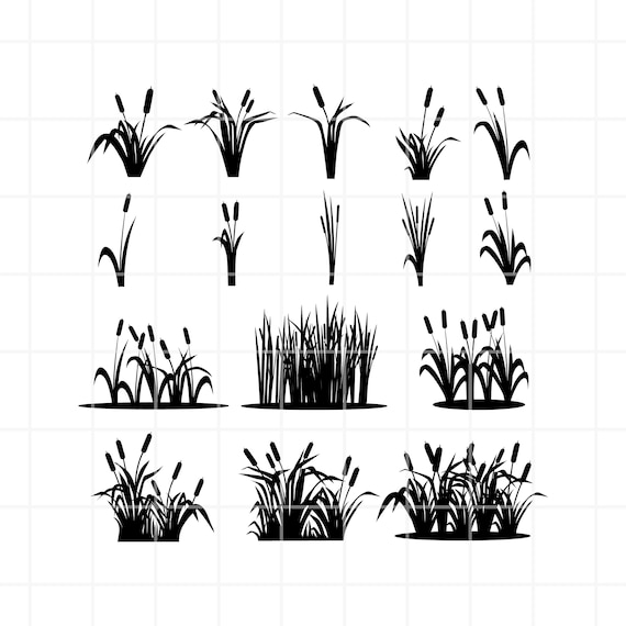 Kattenstaart Plant Clipart Cats Claw Plant: Over 335 Royalty Free