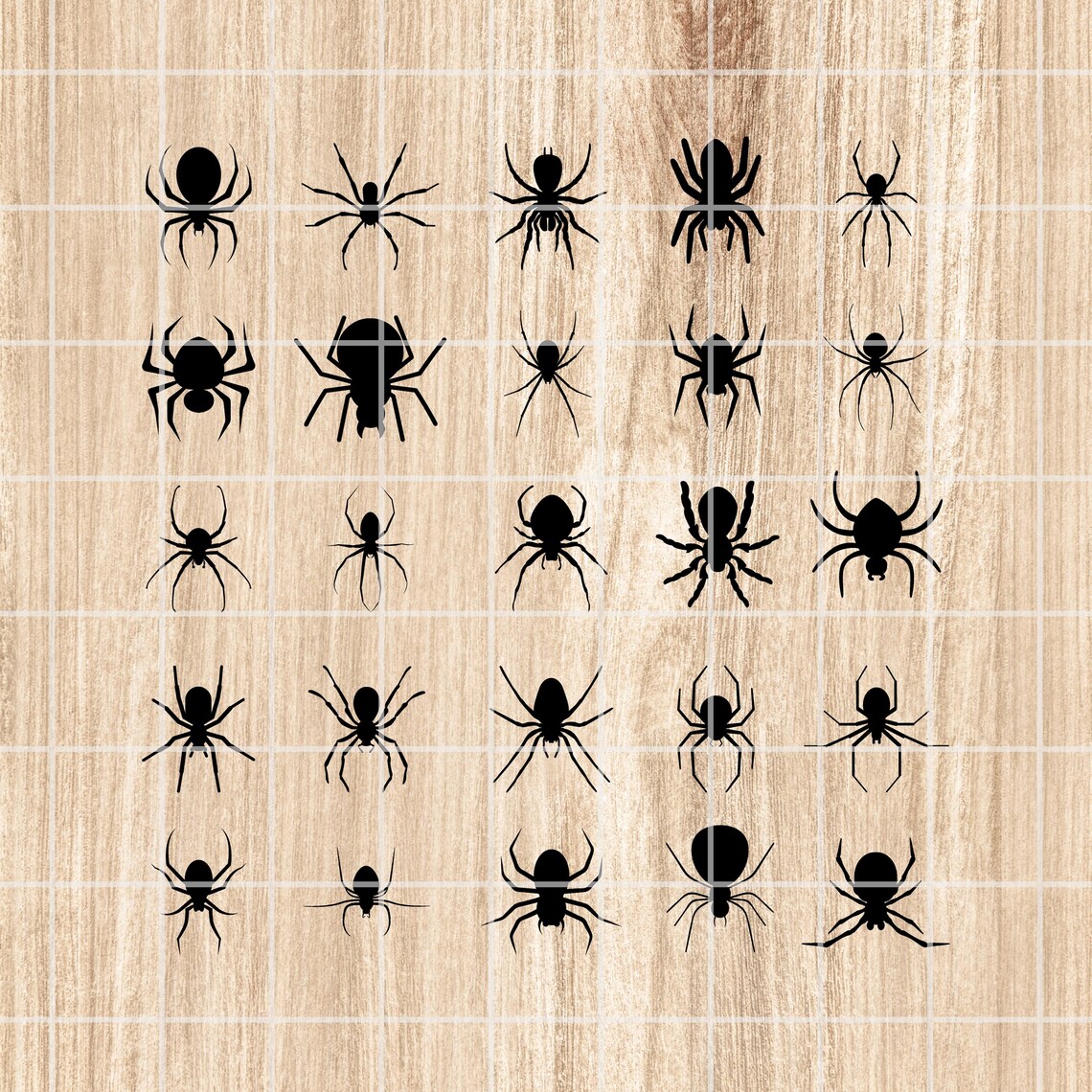 Spider SVG, PNG, AI, Clipart Set. Vector Illustration Cut Files ...