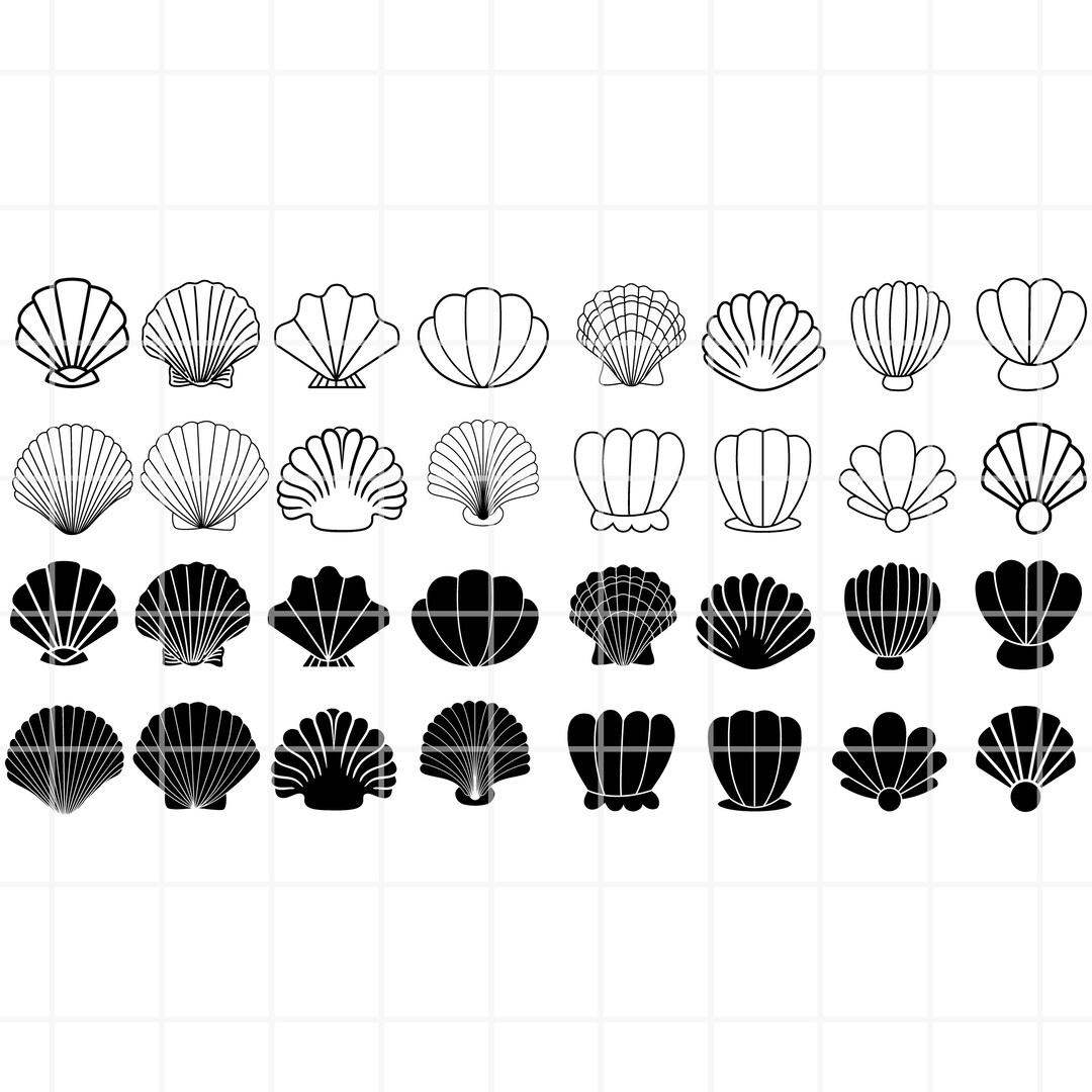 Seashell Svg. Seashell Png. Seashell Cut File. Seashell Clipart ...