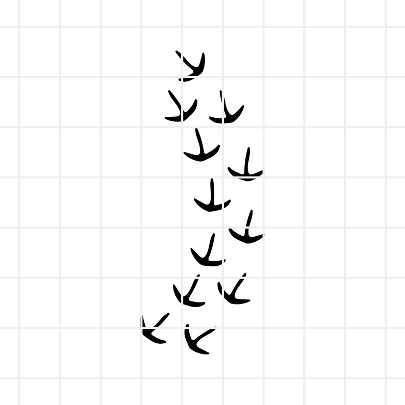Traces of Birds SVG. Chicken Steps Svg. Footprints Svg. Traces of Birds ...