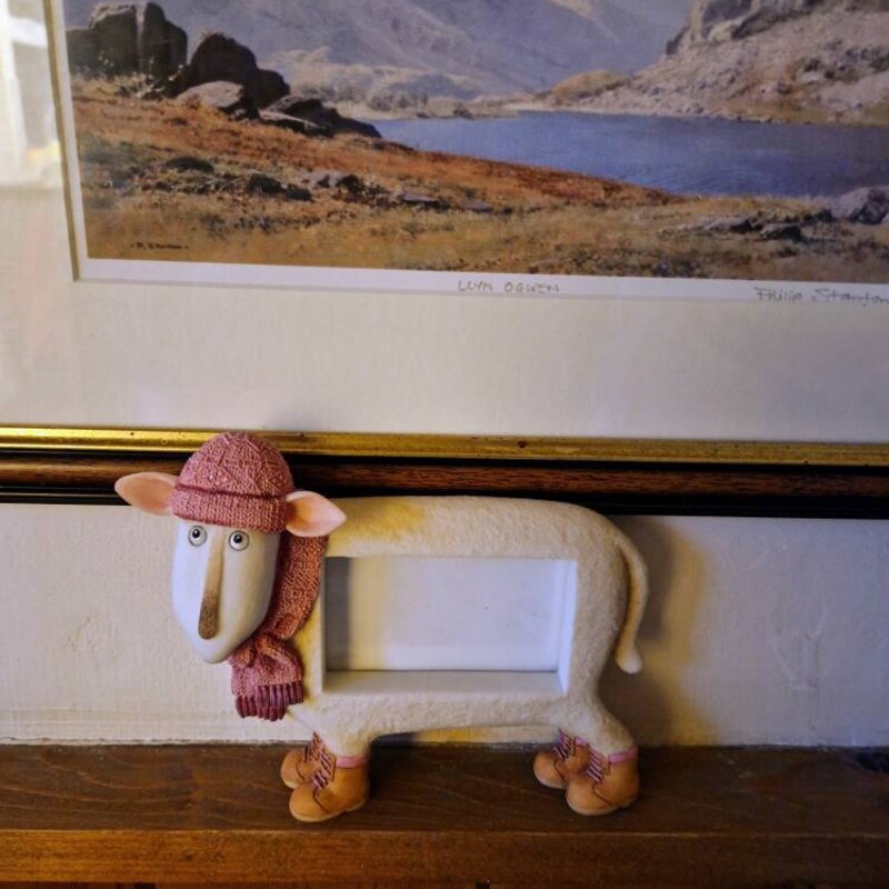 Sheep Picture - Etsy