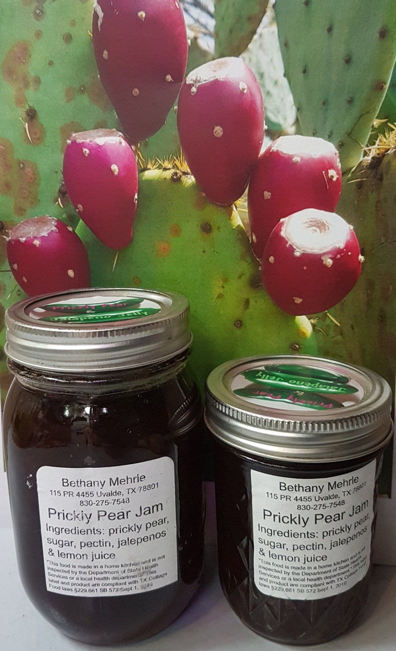 Prickly pear cactus & jalapeno jelly MILD | Etsy
