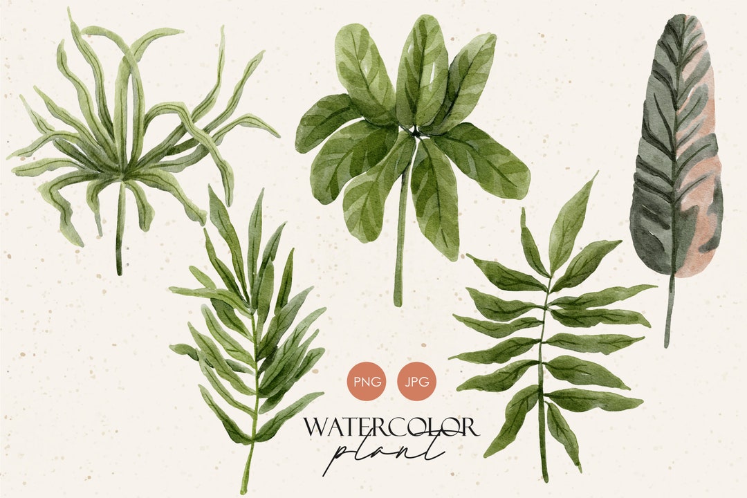 Tropical Leaves Clipart, Leaves Clipart, Watercolor Tropical PNG Items ...