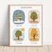 Seasons Educational Poster, Seasons Wall Print, Kids Wall Decor ...