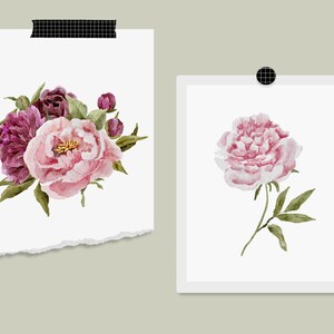 Watercolor Peonies Clipart, Spring Flower Elements, Wedding Floral Set ...