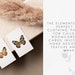 Boho Butterflies Clipart, Spring Butterfly Elements, Digital ...
