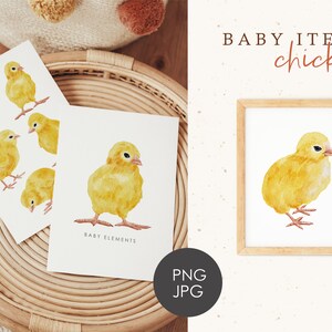 Watercolor Chicken Clipart, Baby Chicken Animals PNG, Nursery Elements ...