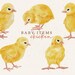 Watercolor Chicken Clipart, Baby Chicken Animals PNG, Nursery Elements ...
