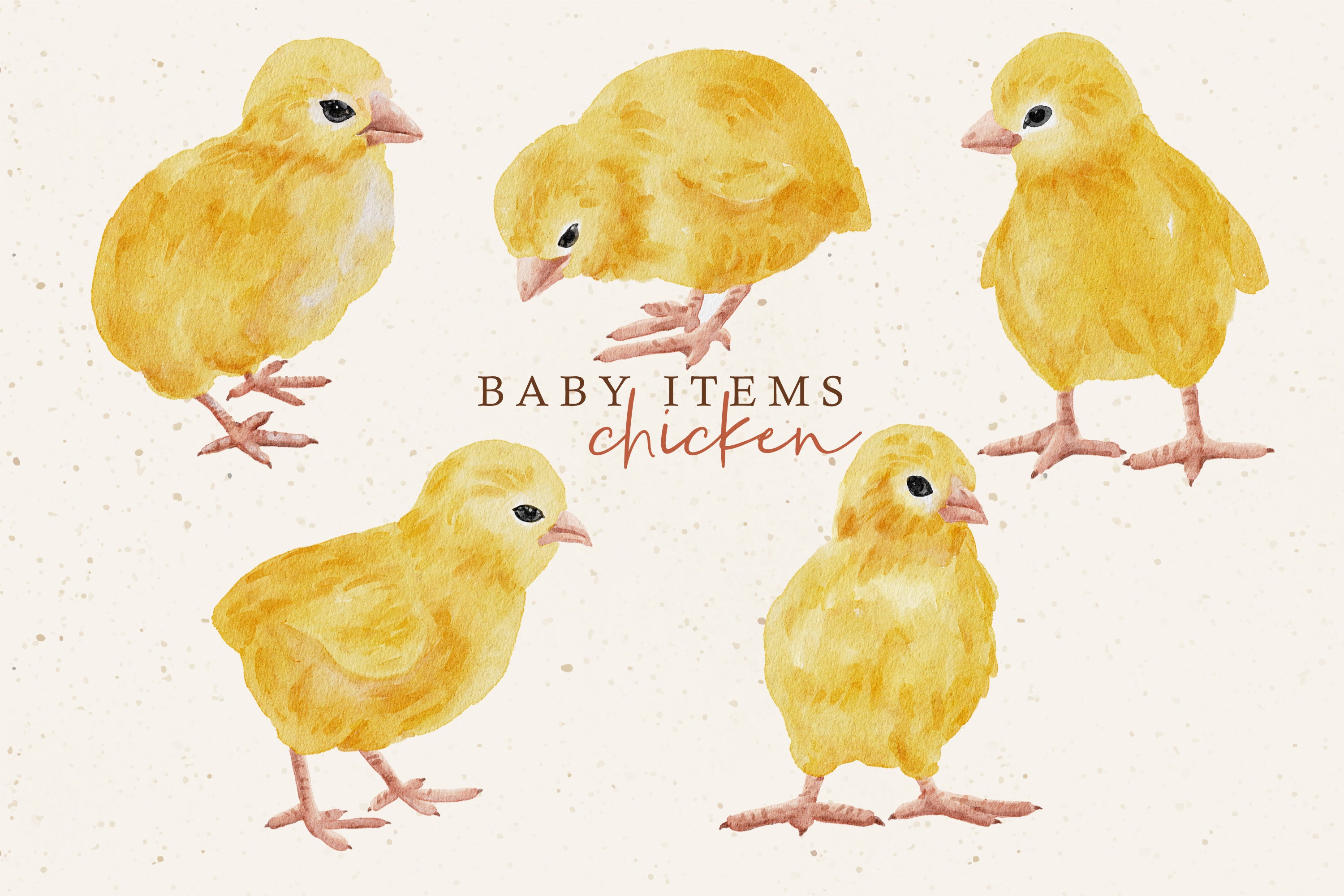 Watercolor Chicken Clipart Baby Chicken Animals PNG Nursery - Etsy