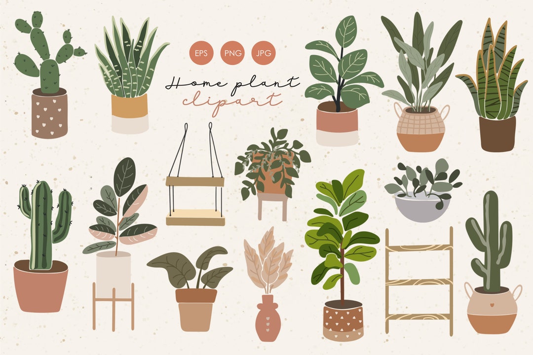 Home Plant Clipart, Abstract Plant Elements, Home Plant PNG, Boho Plant ...