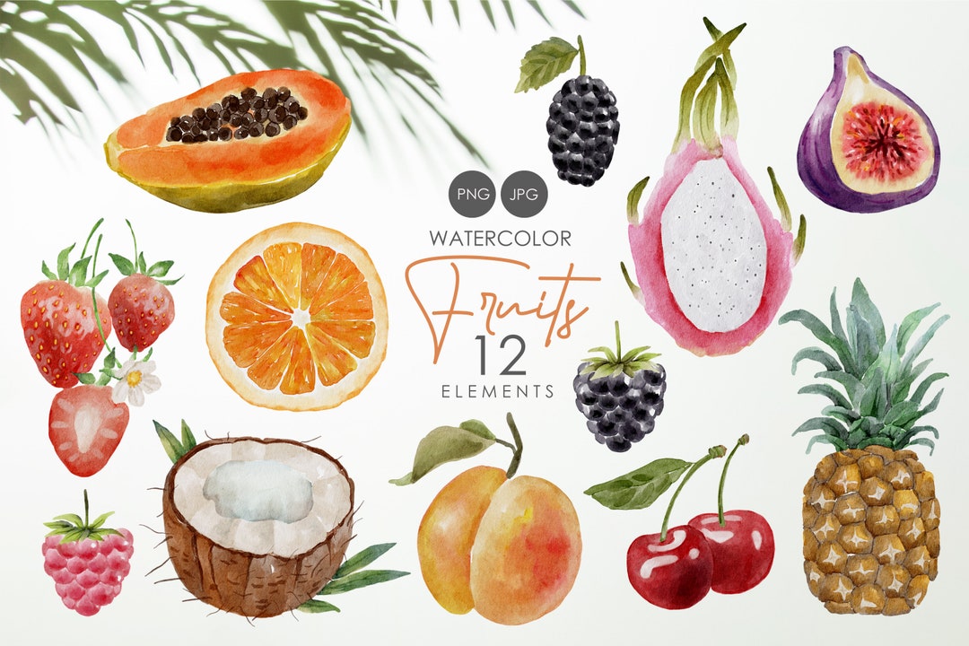 Watercolor Fruits Clipart, Tropical Elements, Summer Clip Art, Summer ...