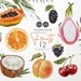 Boho Fruits Clipart, Tropical Fruits Collection, Digital Summer Clipart ...