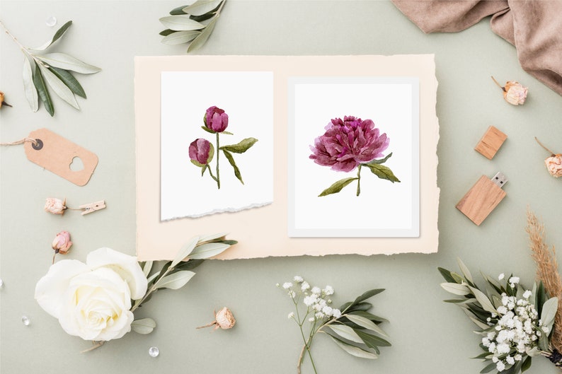 Watercolor Peonies Clipart Spring Flower Elements Wedding - Etsy