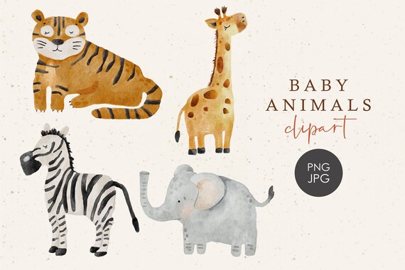 Baby Animals Clipart Watercolor Animals Digital Baby - Etsy
