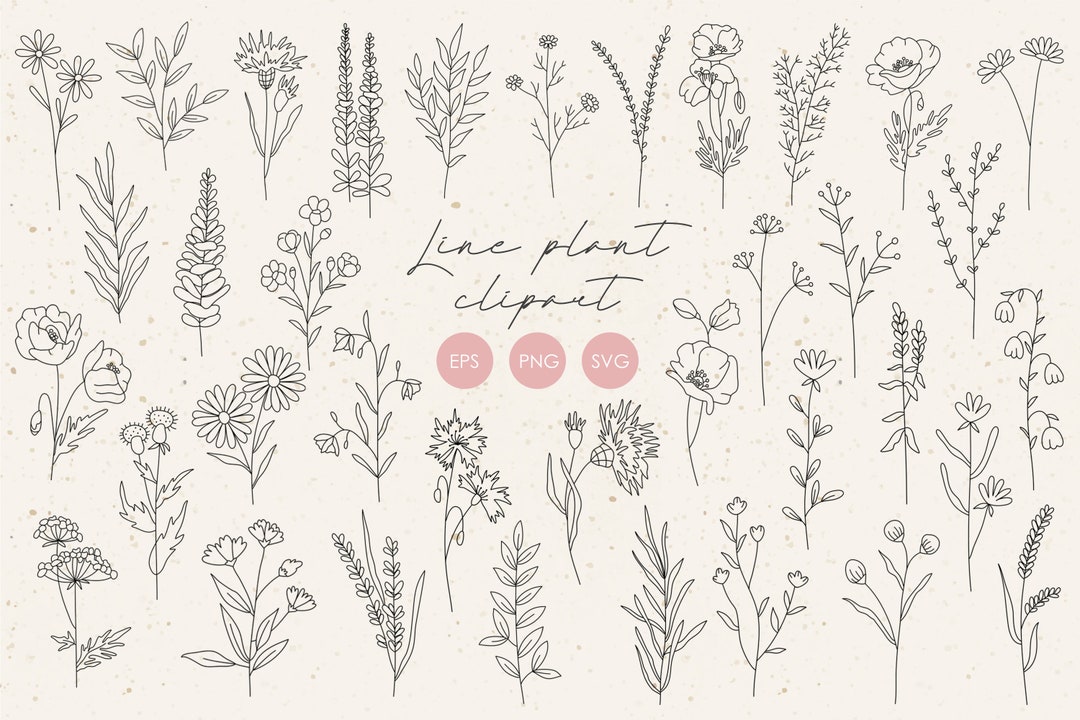 Line Plants Clipart, Abstract Flowers Elements, Line Art Plants PNG ...