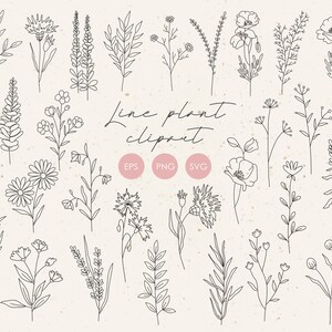 Line Plants Clipart, Abstract Flowers Elements, Line Art Plants PNG ...