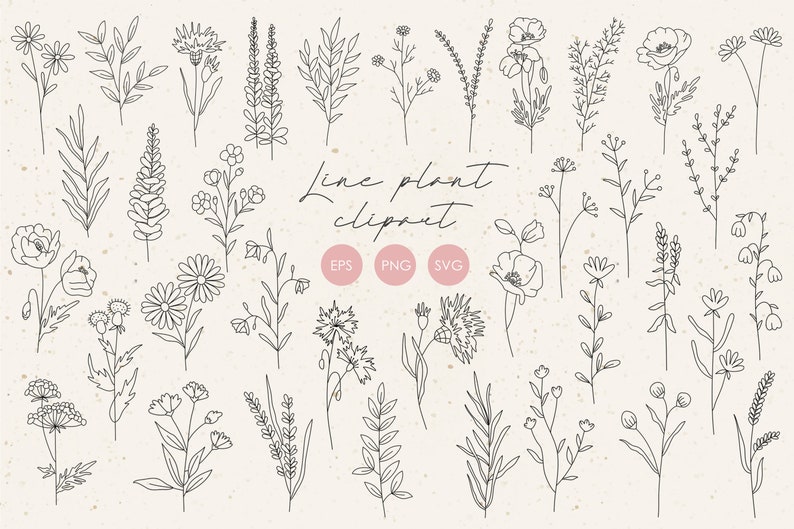 Line Plants Clipart Abstract Flowers Elements Line Art - Etsy