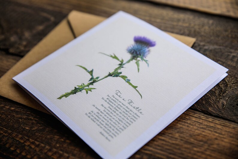 Tae a Thistle Card Friendship Birthday Card Original - Etsy