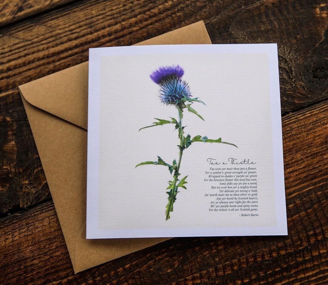 Tae a Thistle Card Friendship Birthday Card Original Scottish Art ...