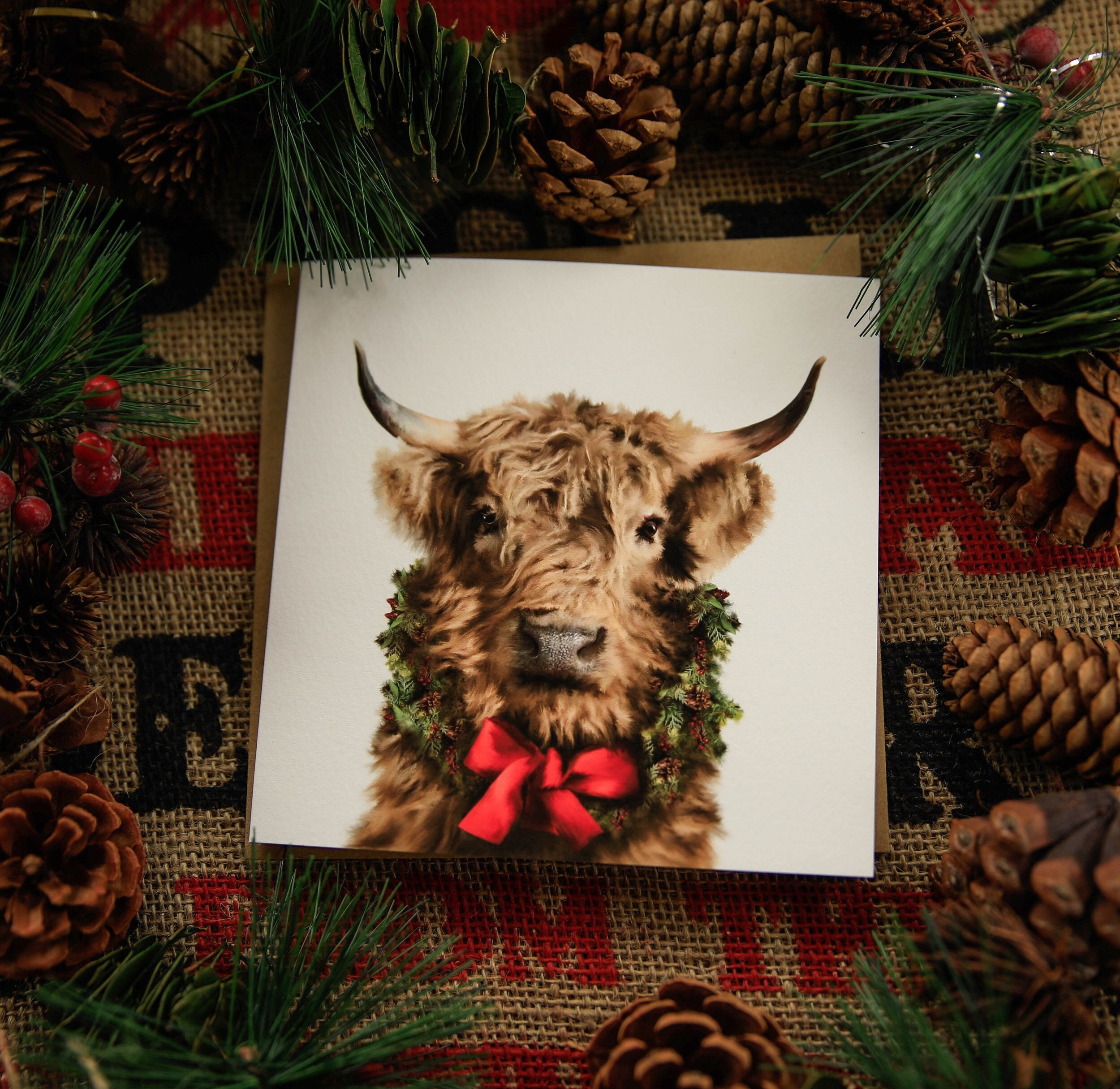 Highland Cow Christmas Card - Etsy UK