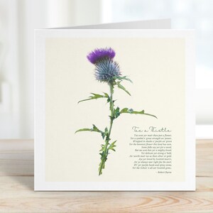 Tae a Thistle Card Friendship Birthday Card Original Scottish Art ...