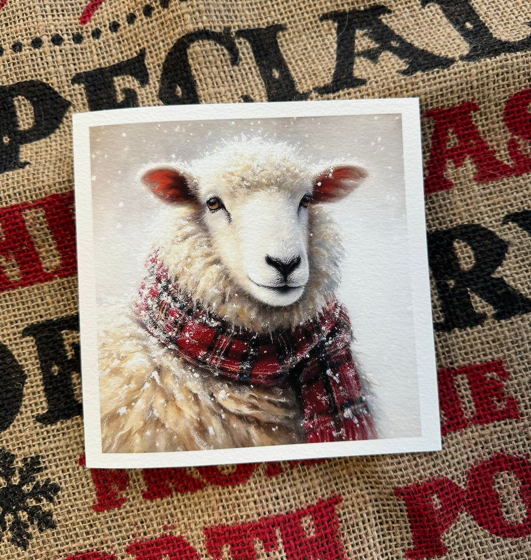Sheep in a Scarf Fine Art Christmas Card With a Scottish Twist - Etsy