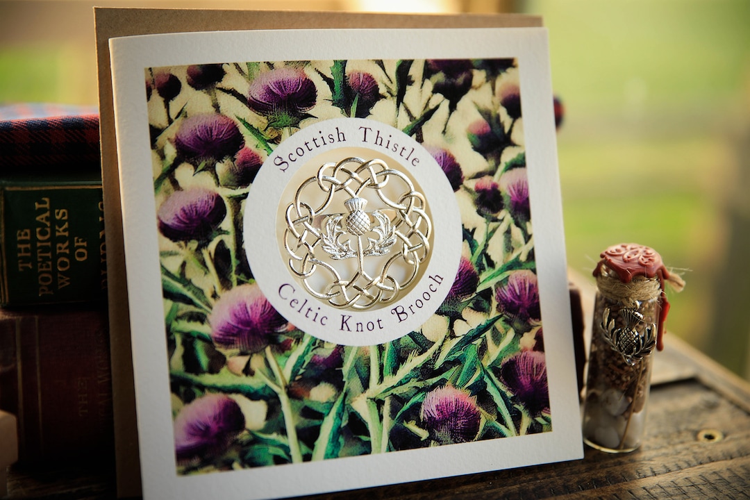 Celtic Knot Thistle Brooch & Card Gift Set Silver Plated Scottish Gift ...