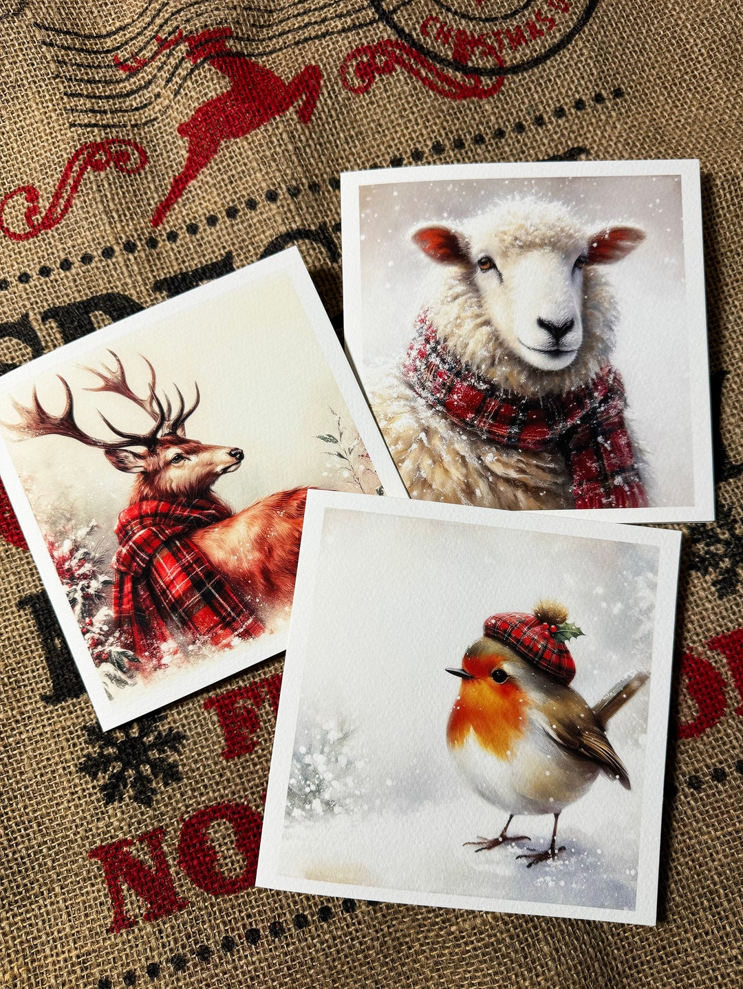 LUXURY Scottish Christmas Cards Set of 3 Cute Animals Scotland Card ...