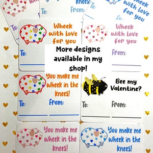 Guinea Pig Valentine Card Set of 18, Valentine's Day Gift, Gift for ...