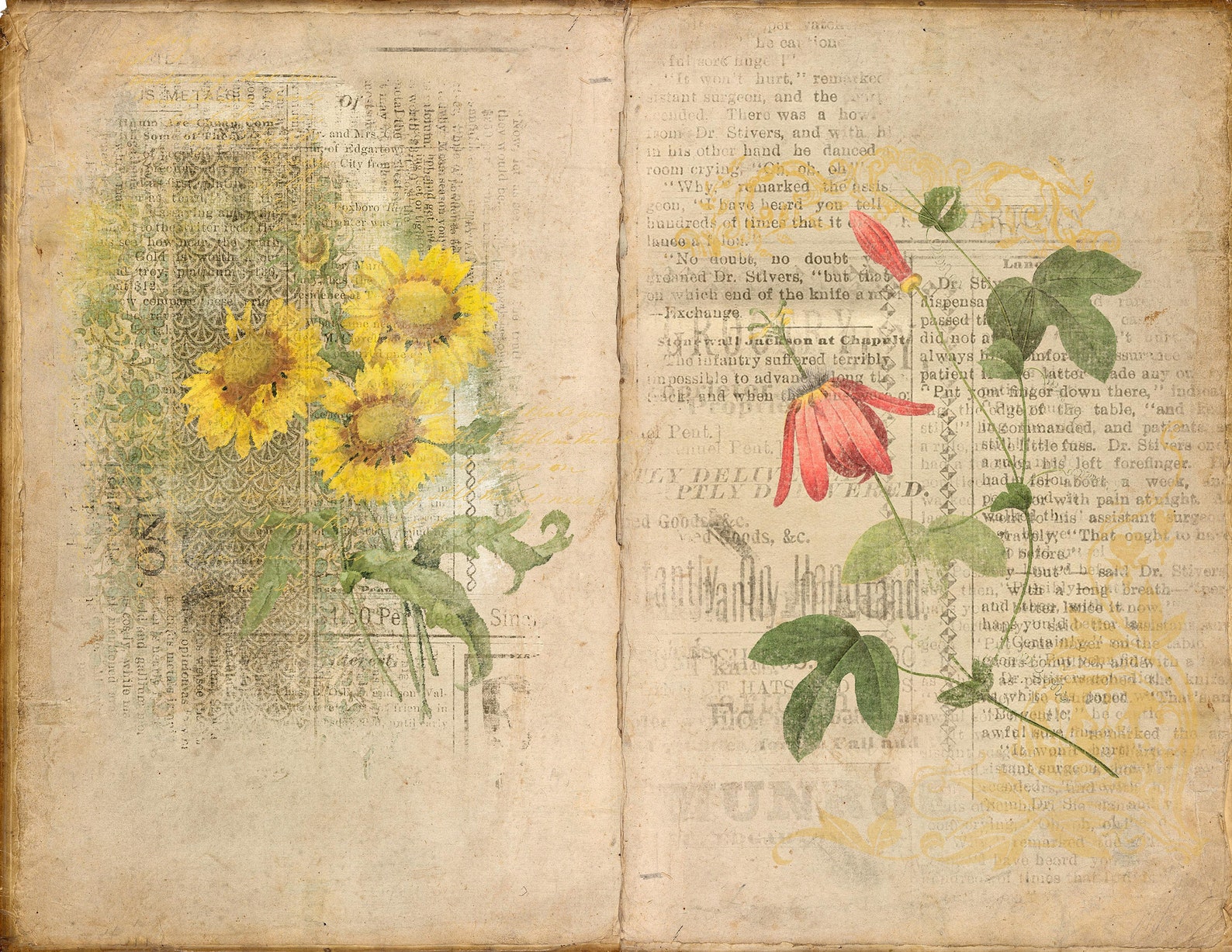 Vintage Nature Journal Papers, Grungy, Shabby Printables, Nature ...