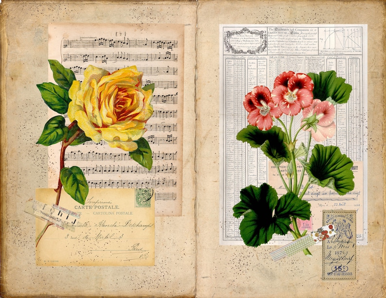 Flower Journal Pages,digital Download, Vintage Flowers, Printable ...