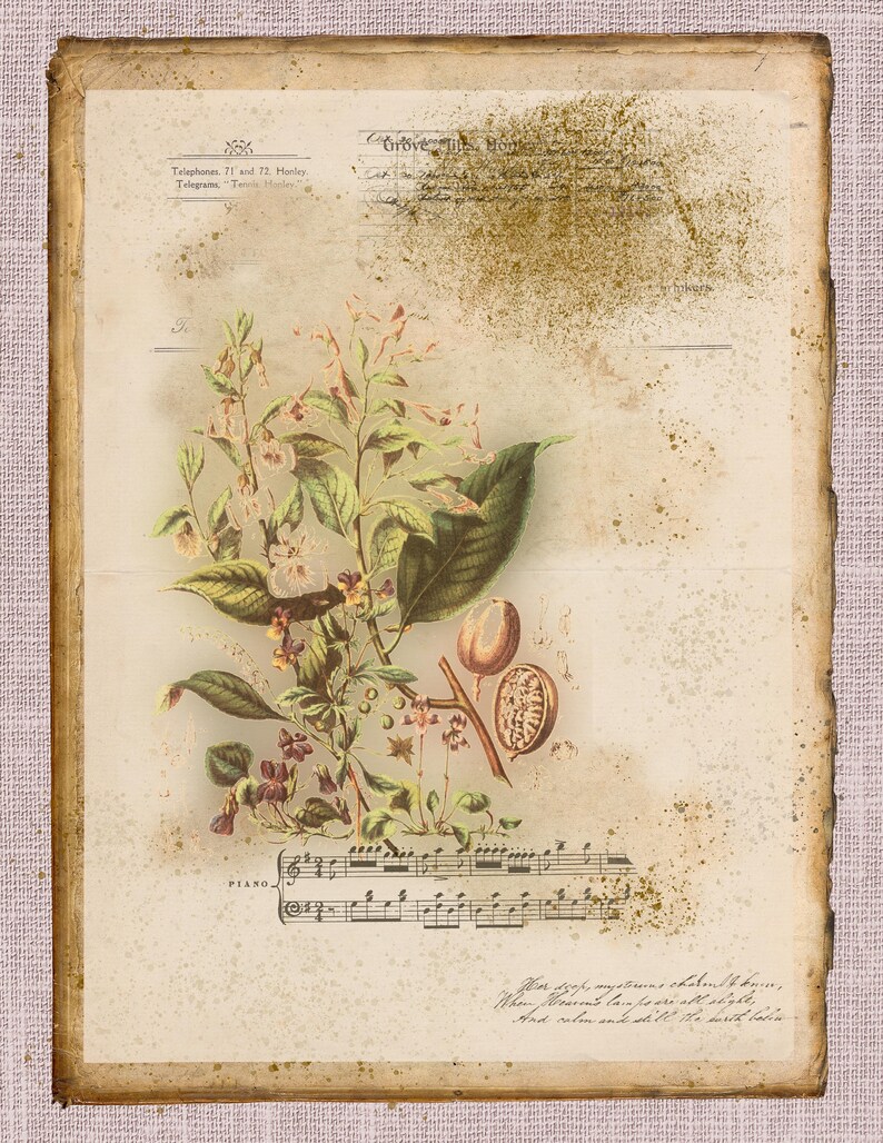 Vintage Flower Ephemera Pages, Printable Vintage Scrapbook Papers ...