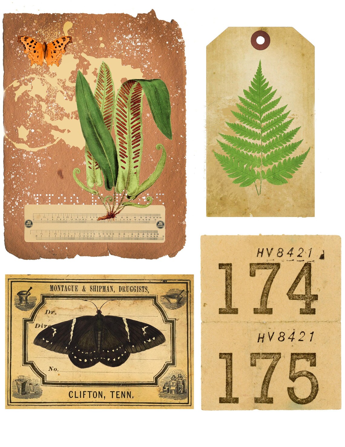 Spring Nature Junk Journal Ephemera Scraps, Spring Journal Ephemera ...