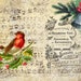 Vintage Christmas Birds Junk Journal Papers, Digital Printable, Birds ...