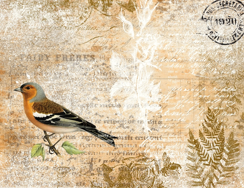 Vintage Garden Birds Junk Journal Kit, Vintage Birds Ephemera Papers ...
