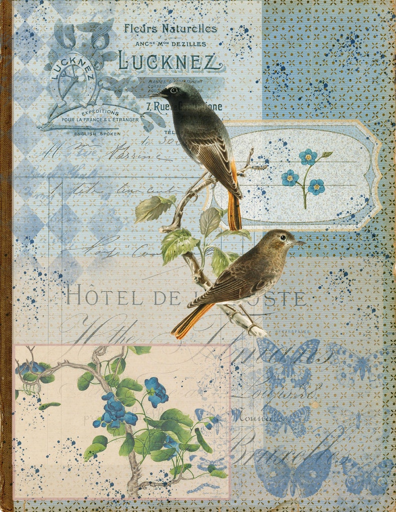 Blue Bird Junk Journal Papers Vintage Nature Journal Papers - Etsy