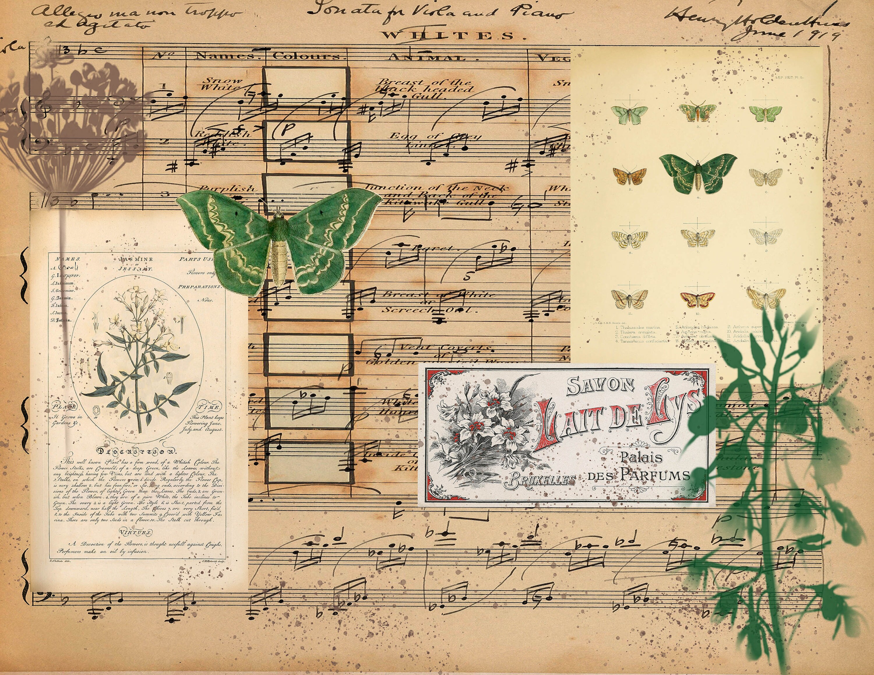 Flowers and Butterflies Nature Journal, Printable Papers, Ephemera ...