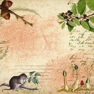 Autumn Forest Printable Papers, Autumn Journal Papers, Digital Download ...