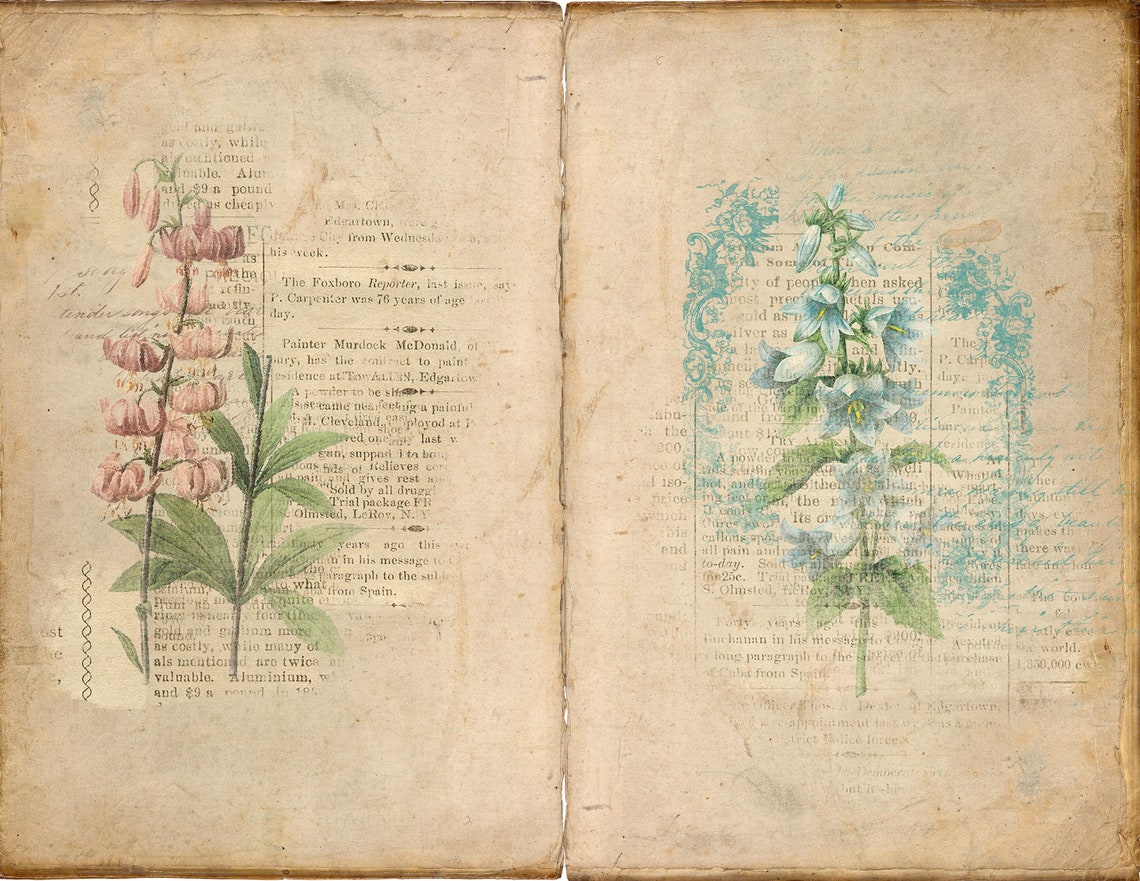 Vintage Nature Journal Papers, Grungy, Shabby Printables, Nature ...